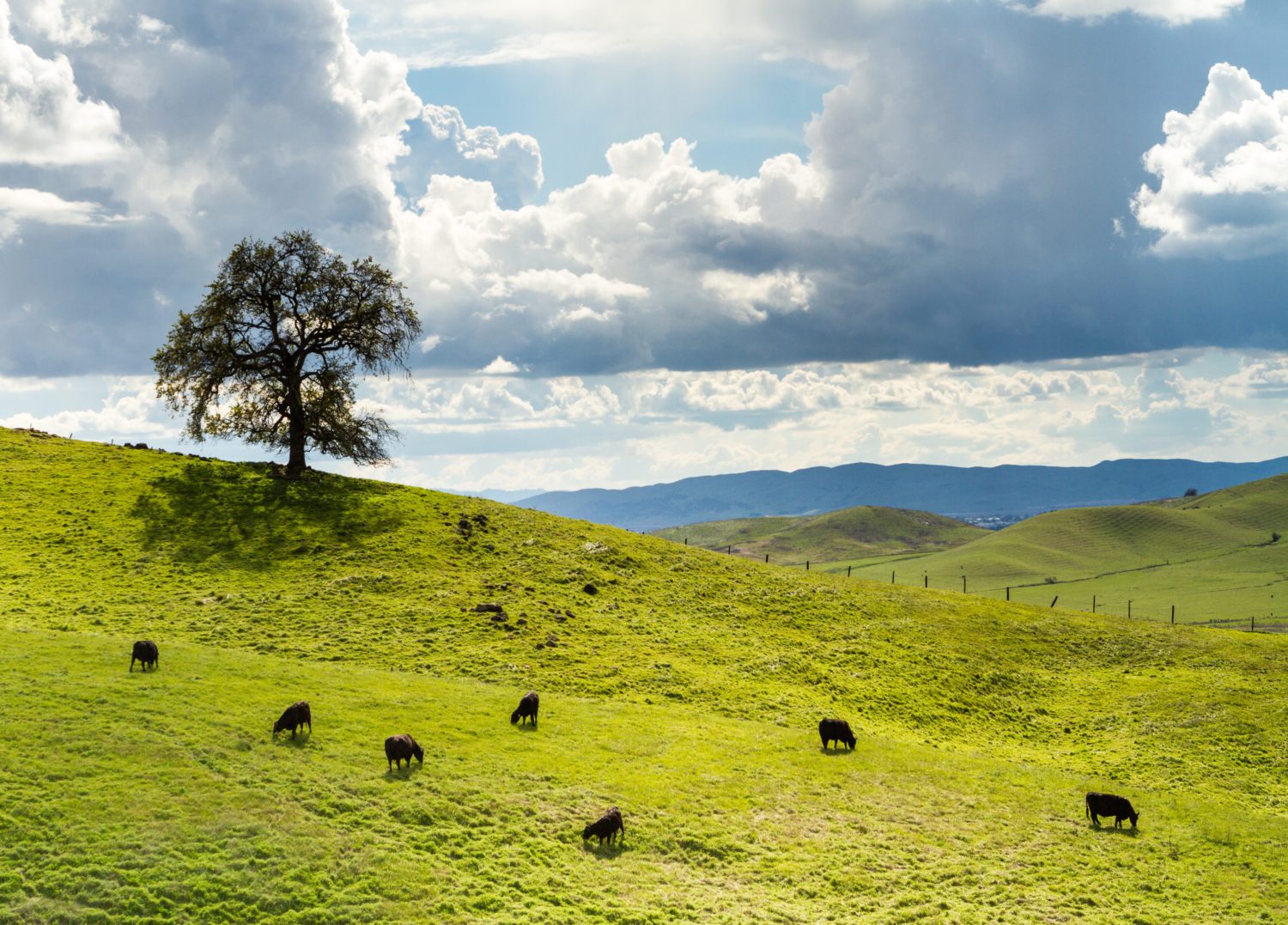 Solar Installation in Vacaville | Get a Solar Panel Estimate